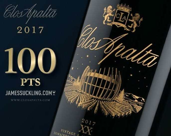 Clos Apalta 2019 – 6 Bottles - Msquare Wine | 香港酒類網購平台，美酒送貨到家